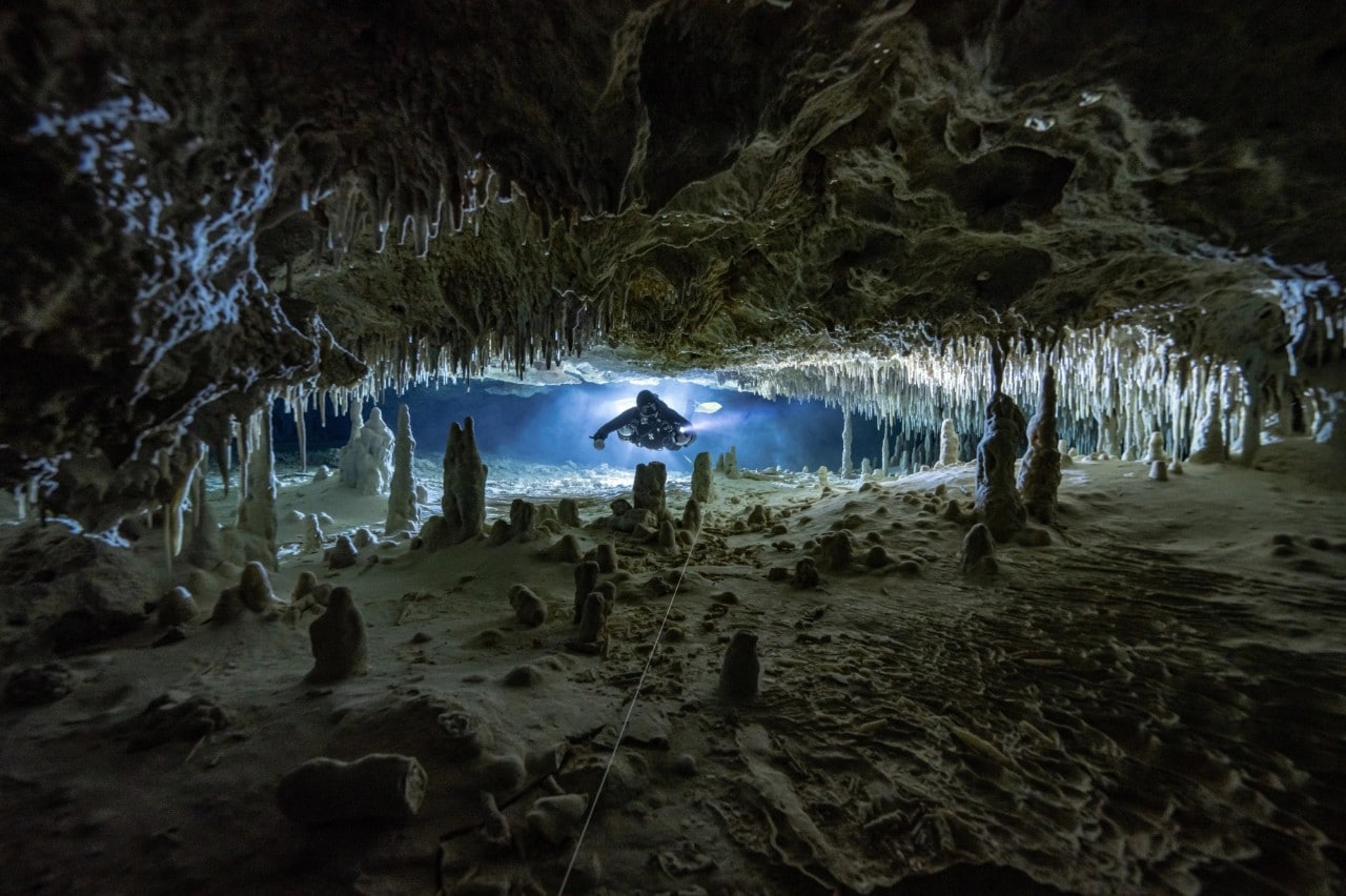 Click-Wrap Test-mls | Microchip Technology